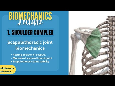 Scapulothoracic joint Biomechanics | shoulder complex part-4 | - YouTube