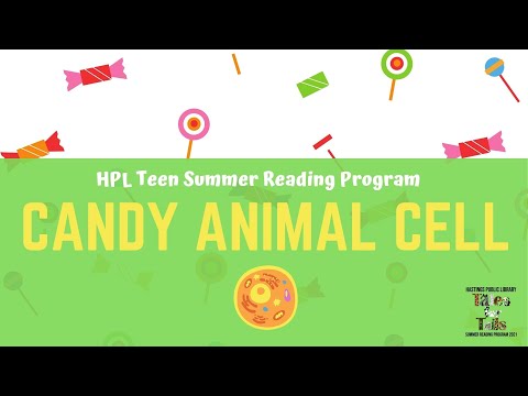Animal Cells from CANDY! | Teen Activity @ HPL