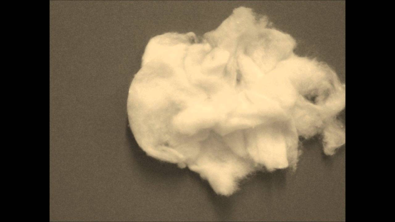 Tracing the Journey of a Drinking Water Drop - YouTube