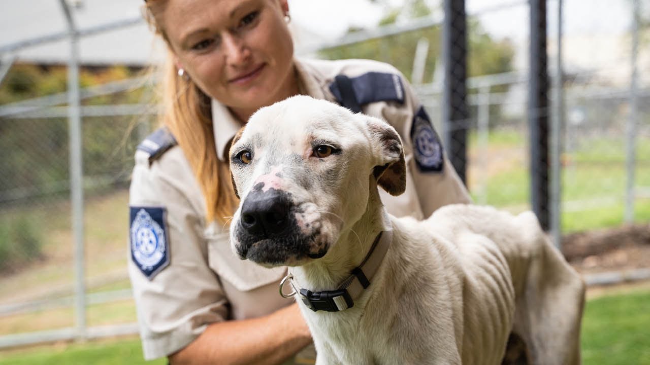 Lilly's Transformation - YouTube