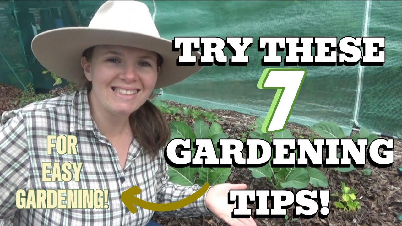 7 tips to make gardening easy, and hopefully cheaper too | Homestead ...