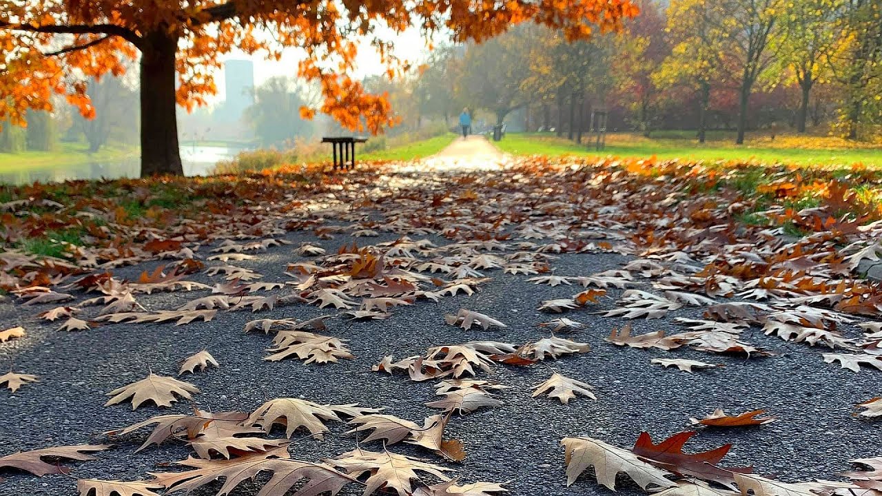 [HiFi] Carl B pres. Khensu - Chasing Leaves (original mix) - YouTube Music