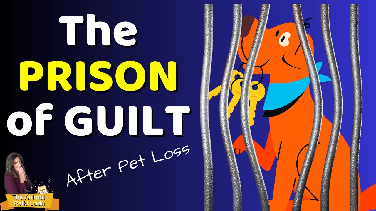SoulPet - The Prison of Guilt After Pet Loss - YouTube