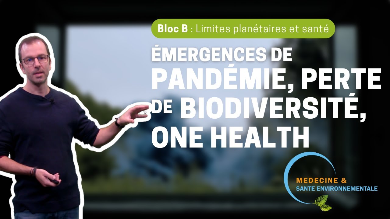 B6- Emergences de pandémie, perte de biodiversité, One Health [Benjamin ...