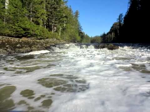 Reversing tidal rapids in Fish Egg Inlet, BC - YouTube