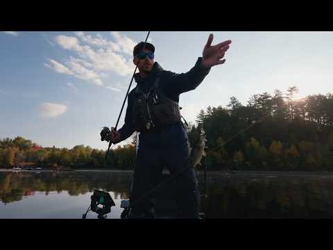 Fibe TV1 | Locally sourced TV