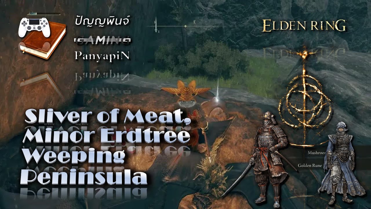 Sliver of Meat, Minor Erdtree Weeping Peninsula | Elden Ring - YouTube