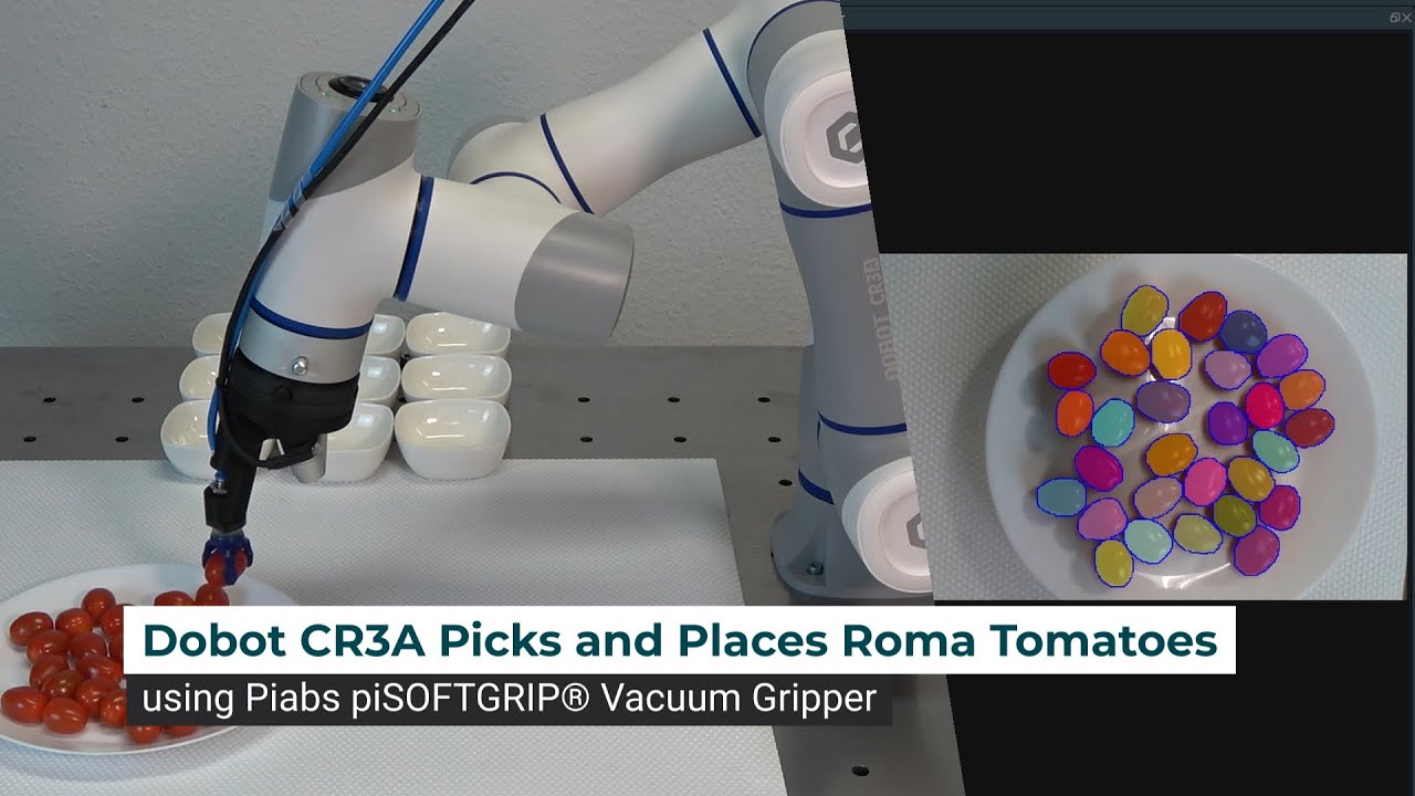 Dobot CR3A Picks and Places Roma Tomatoes using Piabs piSOFTGRIP ...