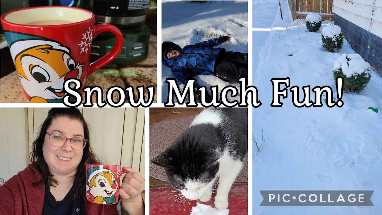 Snow Much Fun in the Snow! Someone is NOT A Fan of the Snow! 😹 - YouTube