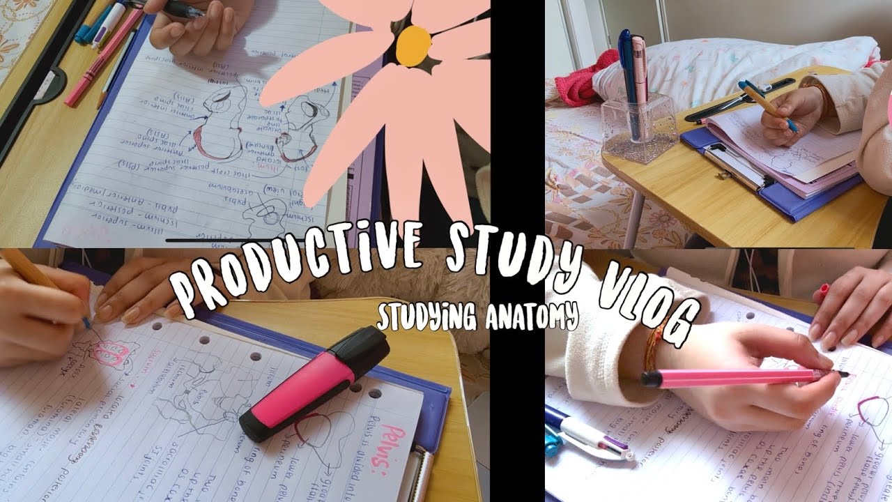Productive study vlog as a 2nd year college student🌸 🩷🎀 || Aesthetic ...