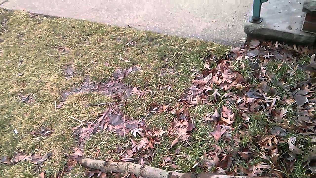 First person crossbow shooting - YouTube