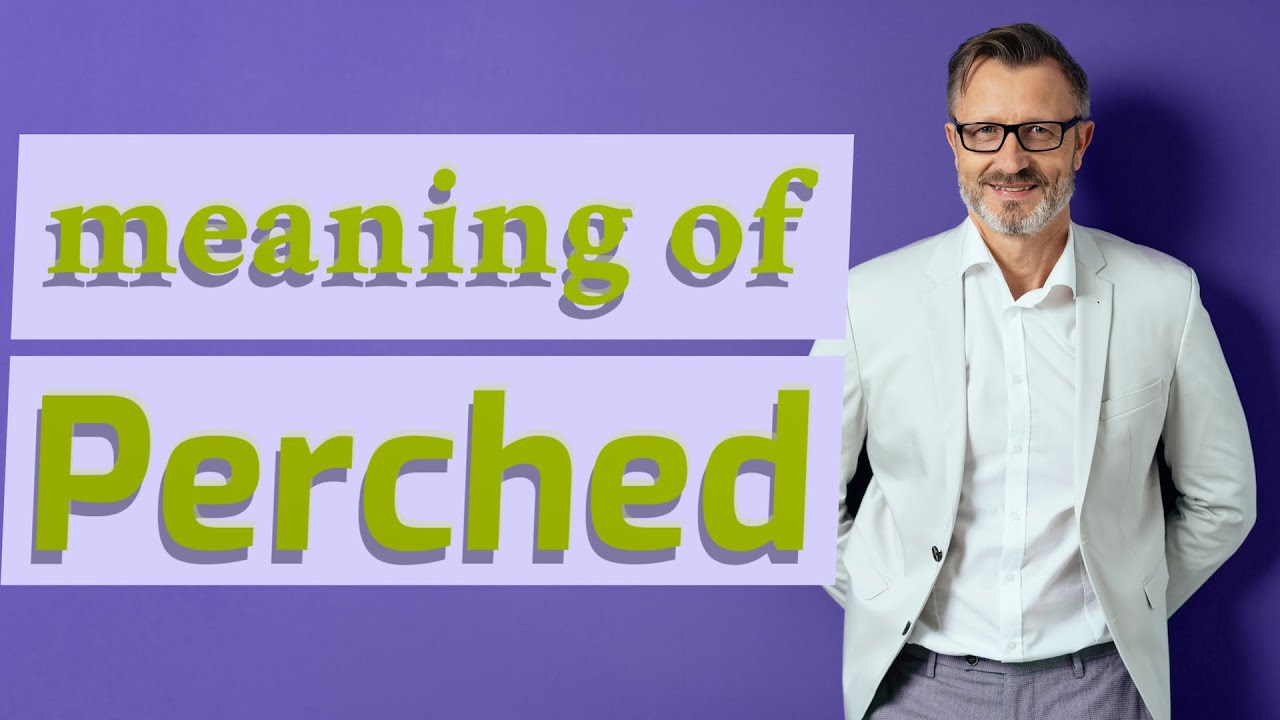 Perched | Definition of perched 📖 📖 📖 📖 📖 - YouTube