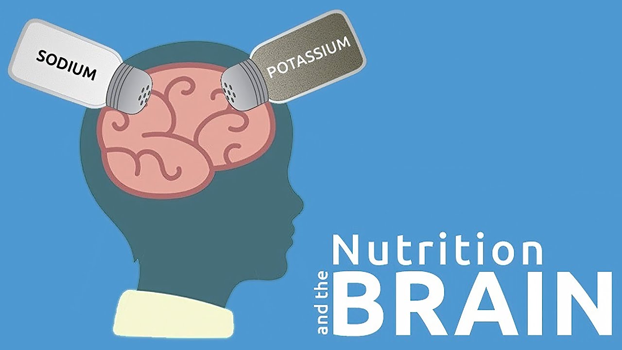 The Sodium Potassium Pump - How Nutrition Affects Our Brain - YouTube