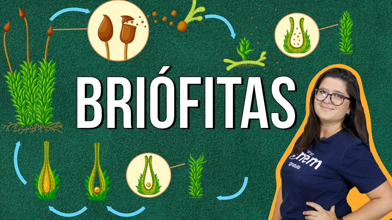 Exemplos De Plantas Briofitas BIOLOGIA Reino Metáfita