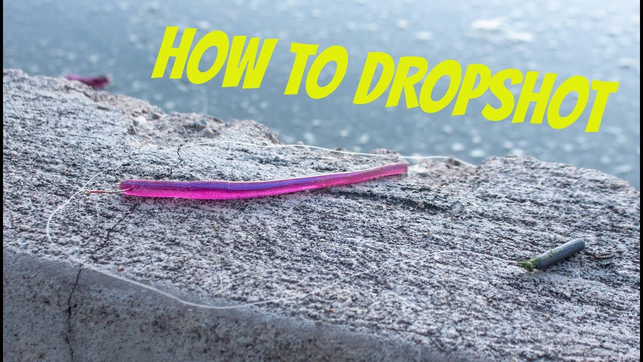 HOW TO FISH A DROP SHOT - YouTube