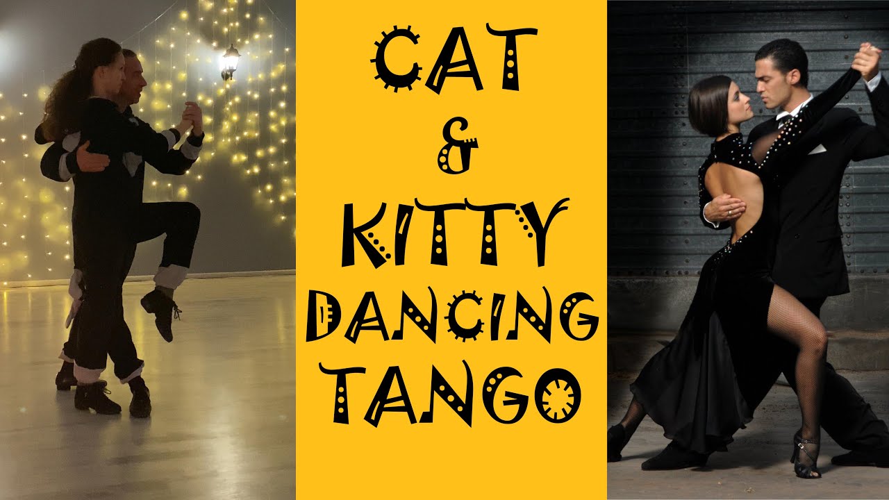 "Котики" танцуют танго на пижамной вечеринке! Feline Fun: Cats Tangoing ...