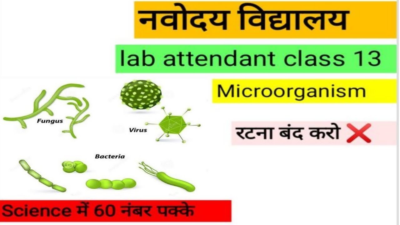 Microorganism questions NVS lab attendant exam 📒|#bacteria and virus ...