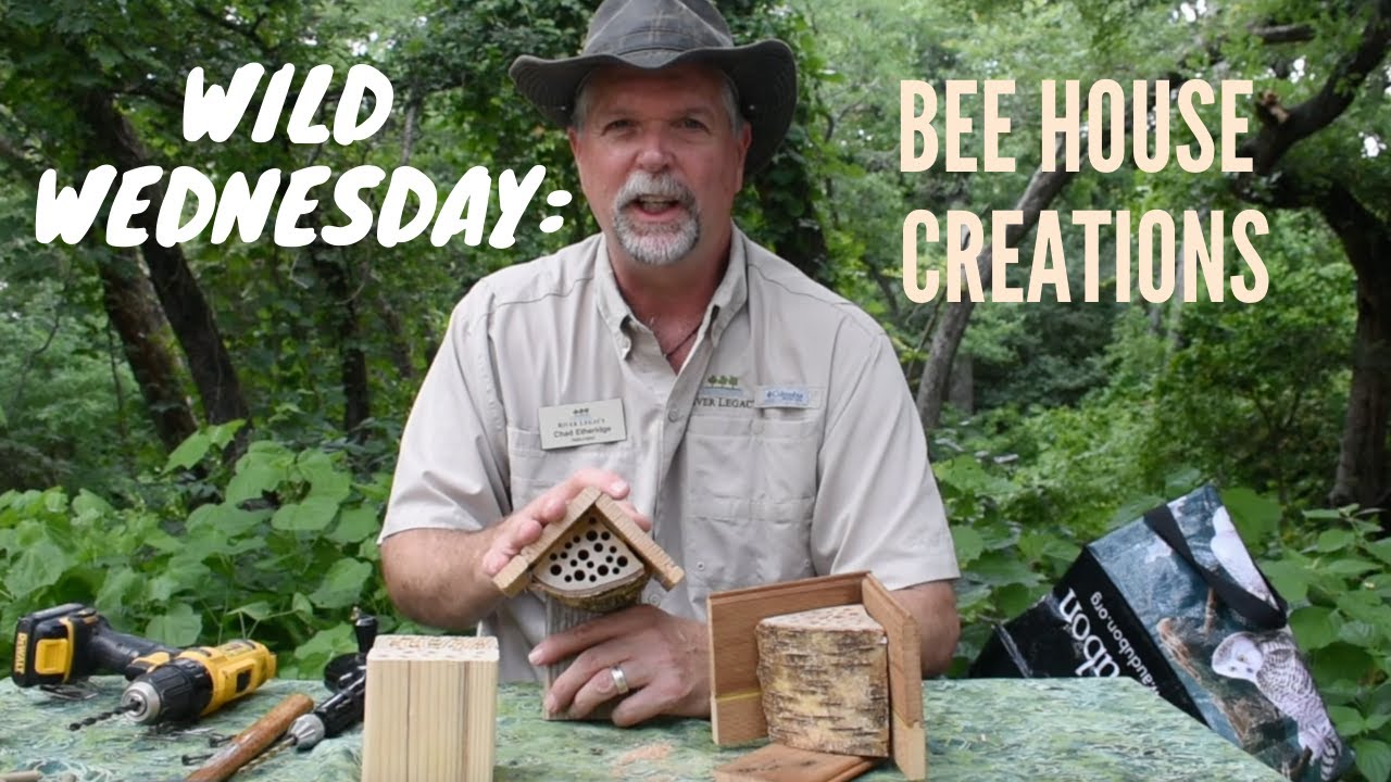 Wild Wednesday: Bee House Creations - YouTube