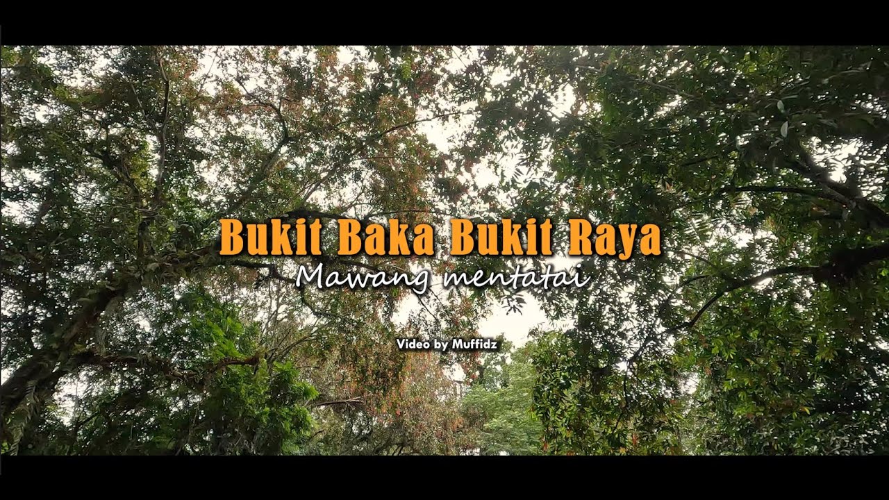 Petualangan di Bukit Baka Bukit Raya, West Borneo of Indonesia - YouTube