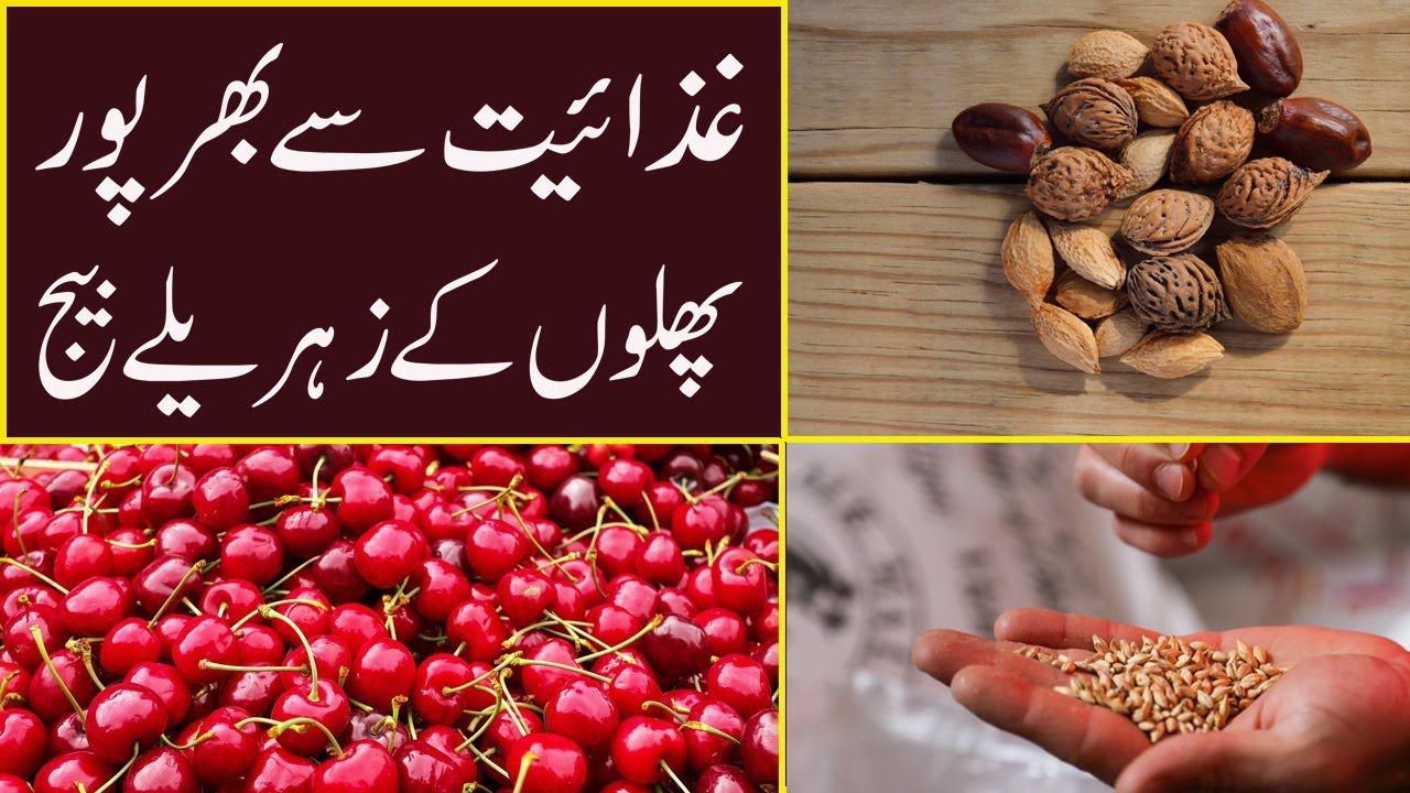 Toxic Seeds Of Nutritious Fruits | Fruits With Harmful Seeds We Can't ...