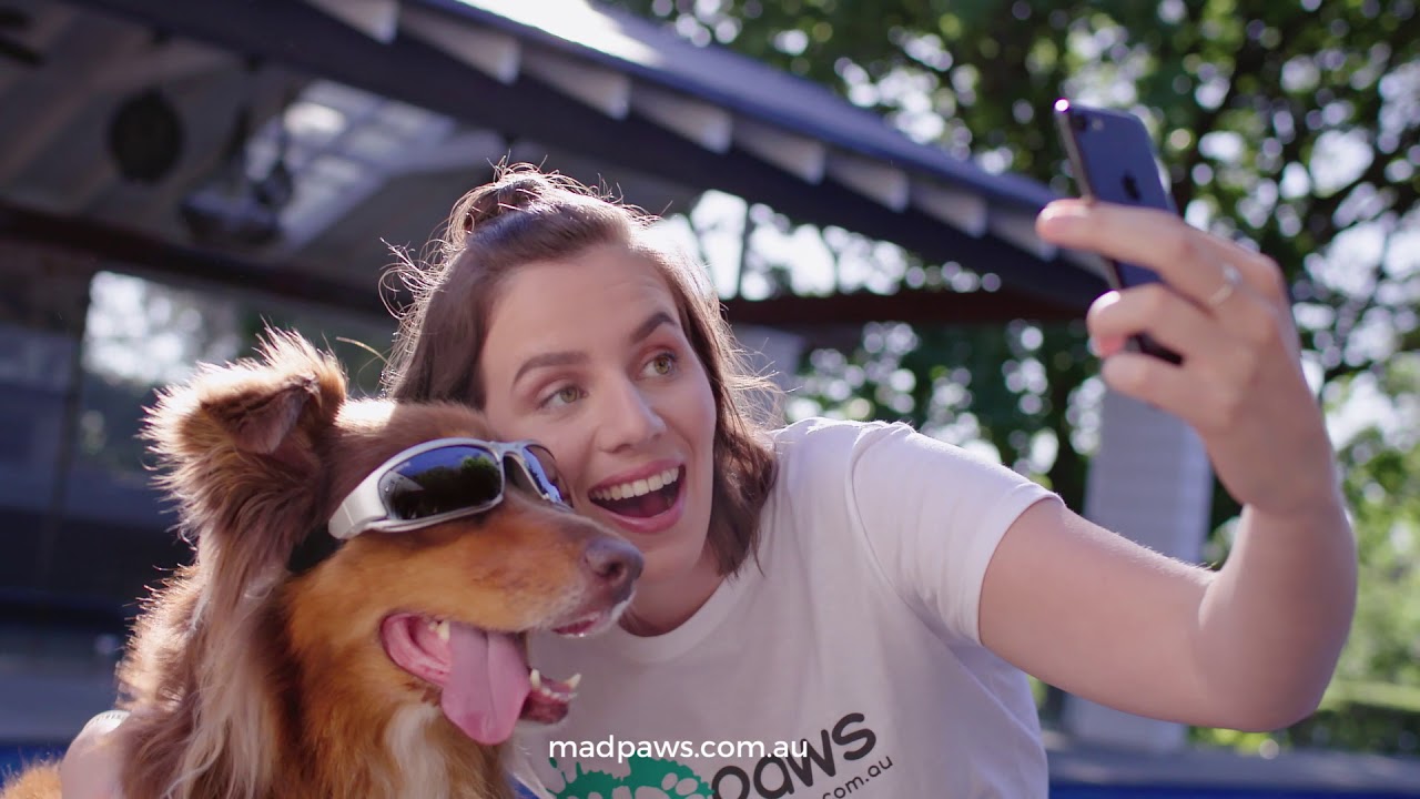 Mad Paws TVC | 30B - YouTube