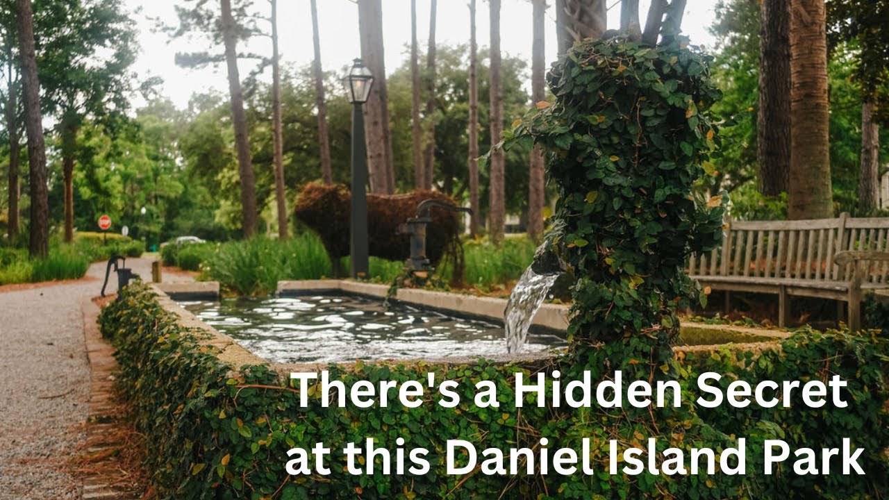 Discover a Hidden Gem on Daniel Island - YouTube