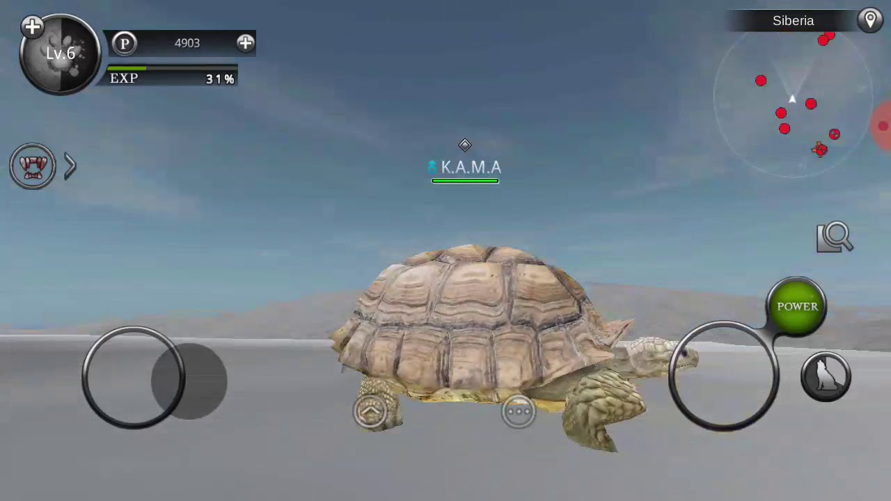 Wild animals online turtle simulator - YouTube