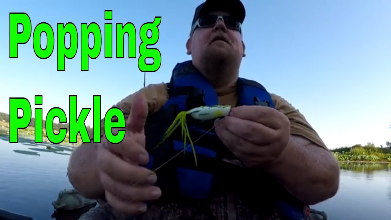Popping Perch Review - YouTube