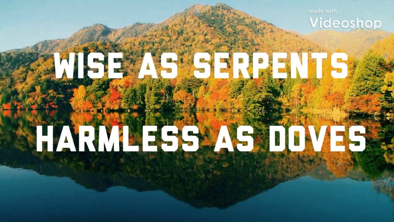 “Wise As Serpents, Harmless As Doves” - YouTube