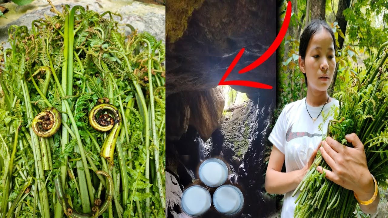 NIGURO🪴😲||DARLAGDO THAU😰||PANCHTHAR||VILLAGE VLOG||VIDEO HERERA MAYA ...