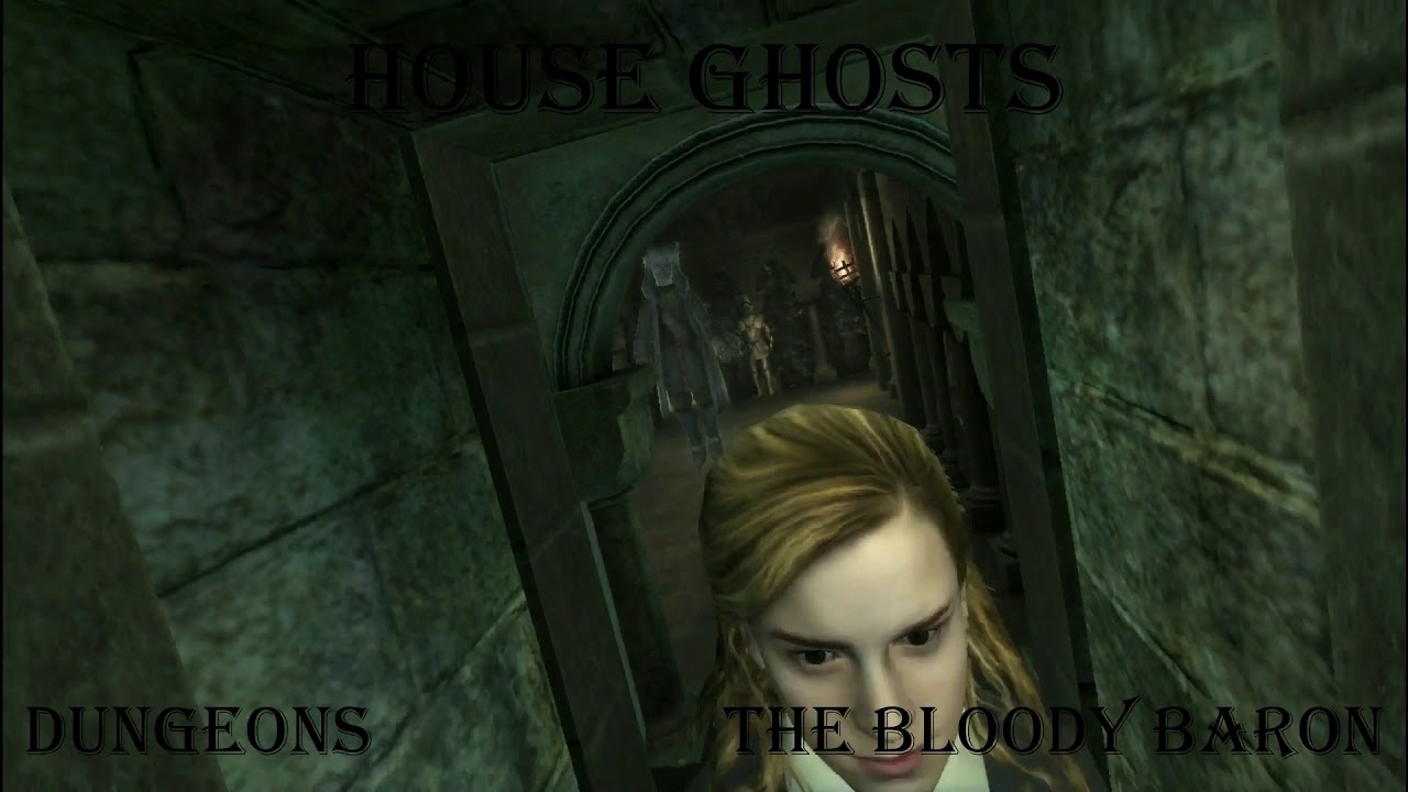 HARRY POTTER AND THE ORDER OF PHOENIX: FINDING ALL HOUSE GHOSTS - YouTube