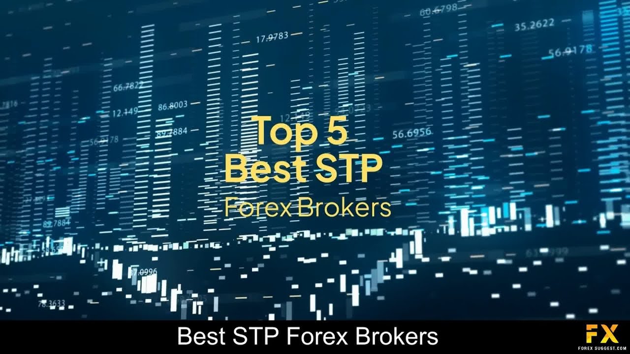 Best STP Forex Brokers📈 - YouTube