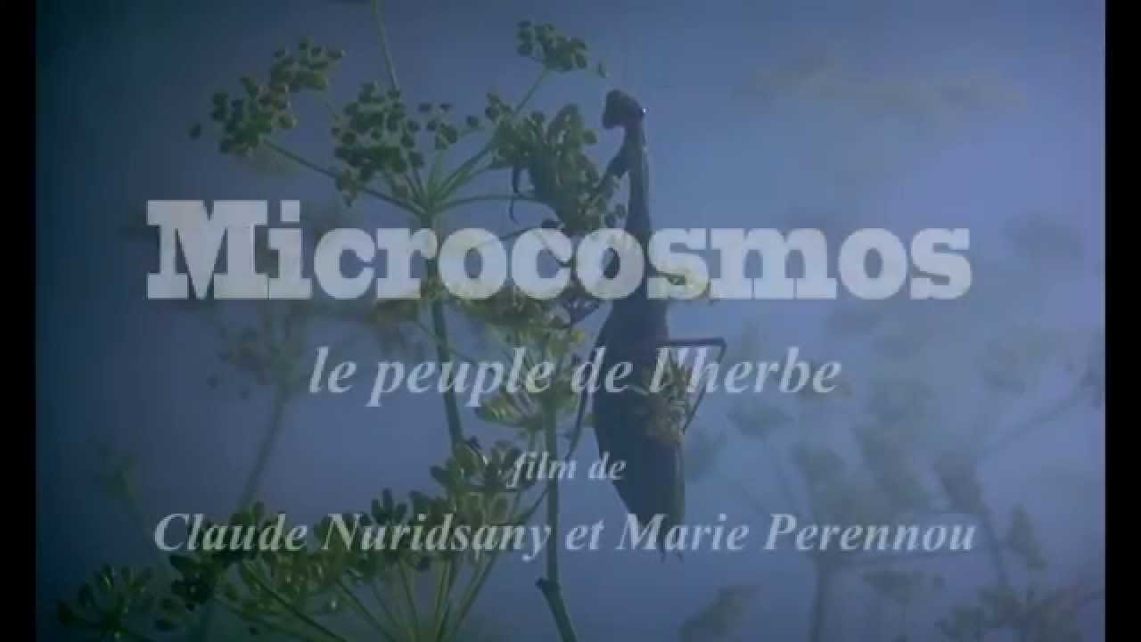 Microcosmos (Tràiler) - YouTube
