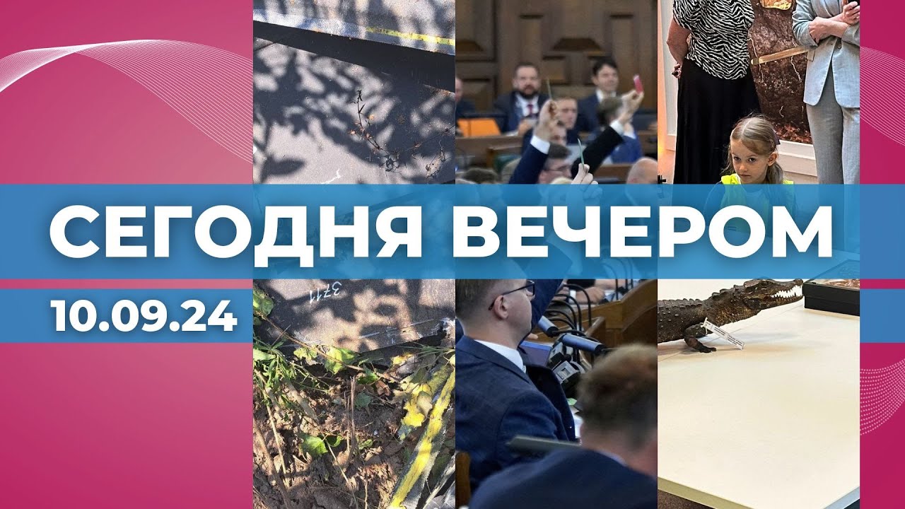 Реакция на дрон | Будут ли партии экономить? | Zinarium в зоопарке ...