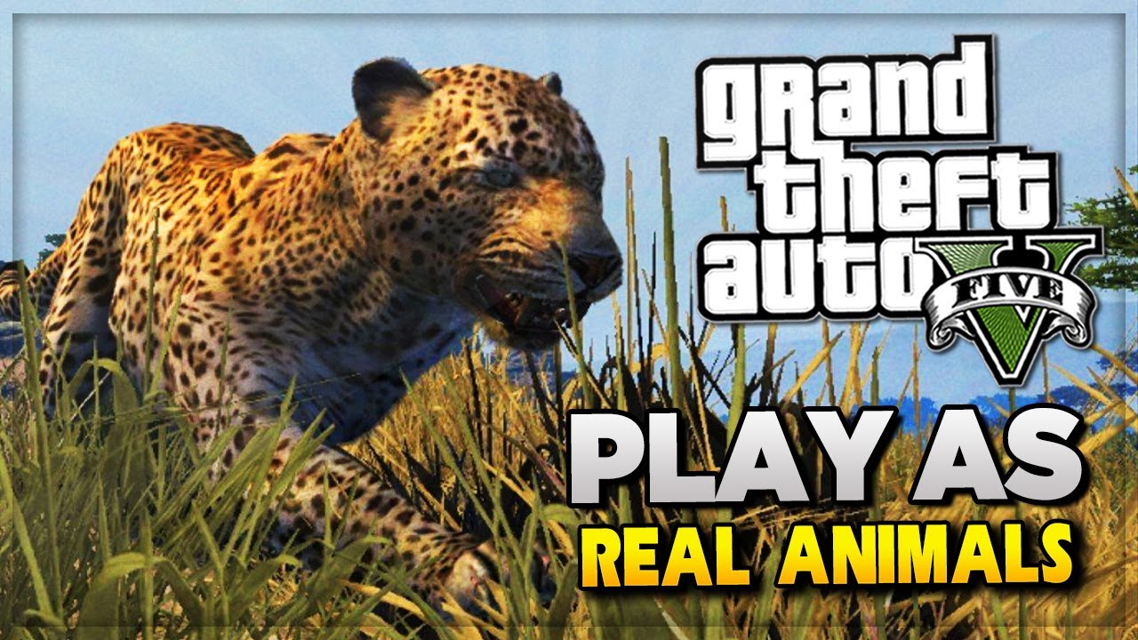 GTA V ANIMALS MOD [GTA 5 Funny MoementS] - YouTube