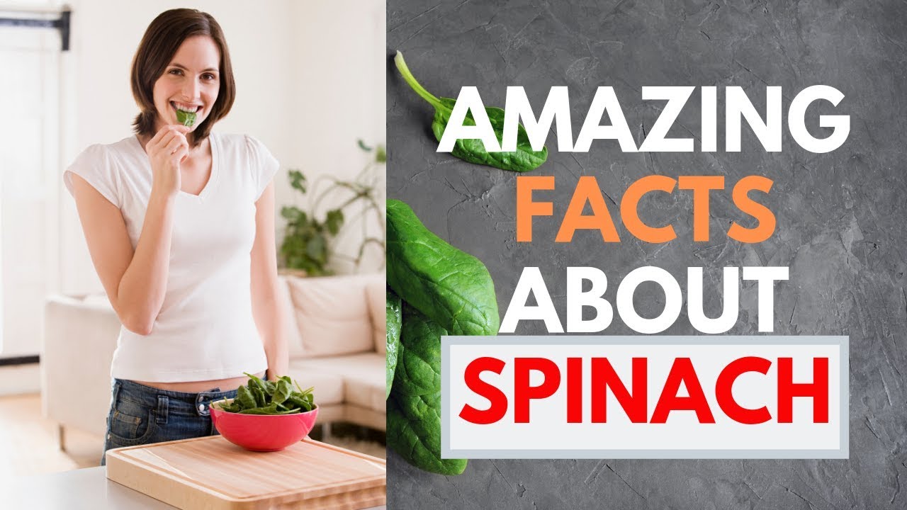 30 Amazing Facts About Spinach - YouTube