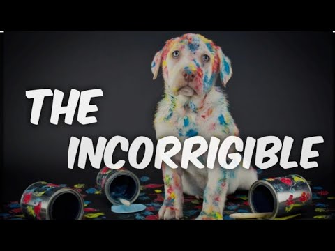 How to know an incorrigible person - YouTube