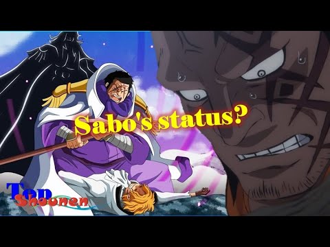 Sabo is as strong as the Admiral? What is Sabo's condition now? - YouTube