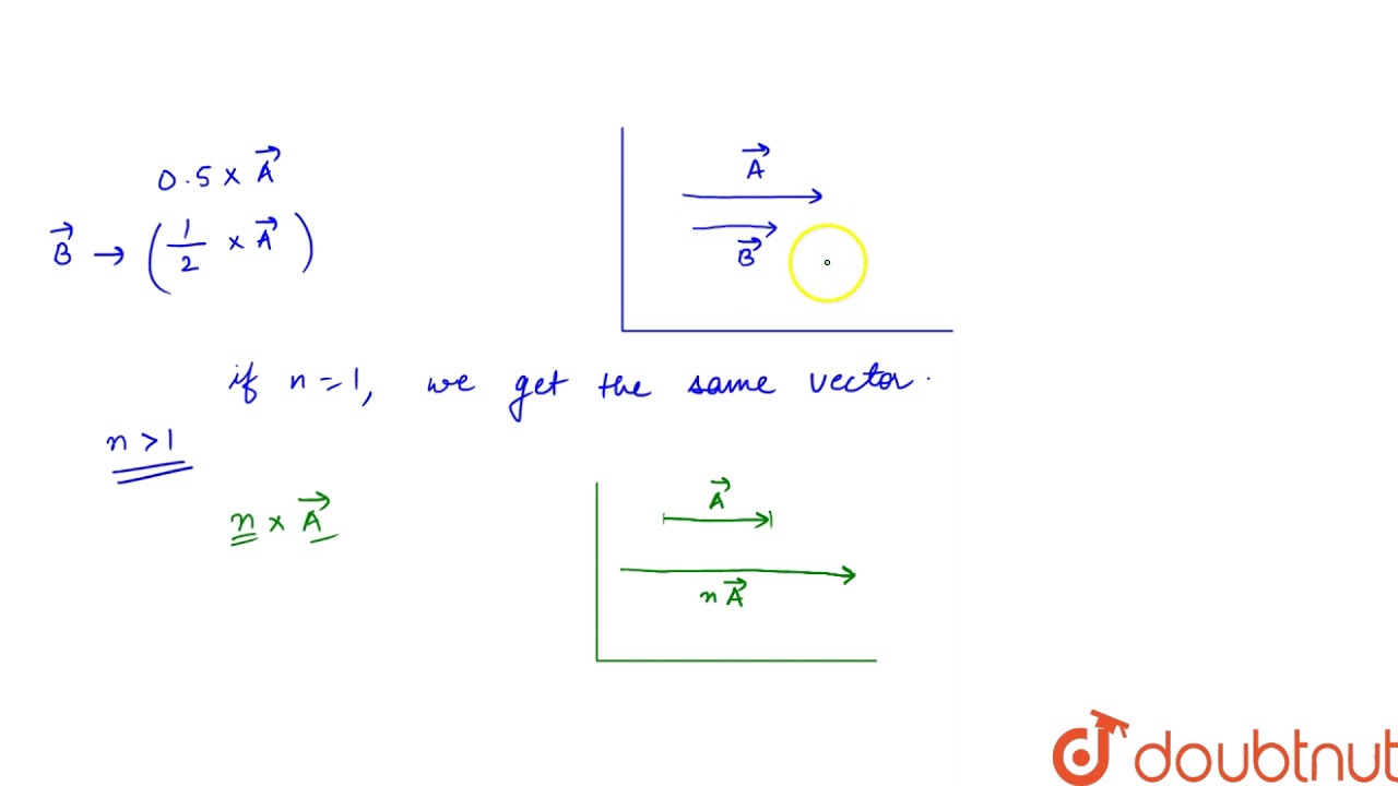 MULTIPLICATION OF A VECTOR BY SCALAR - YouTube