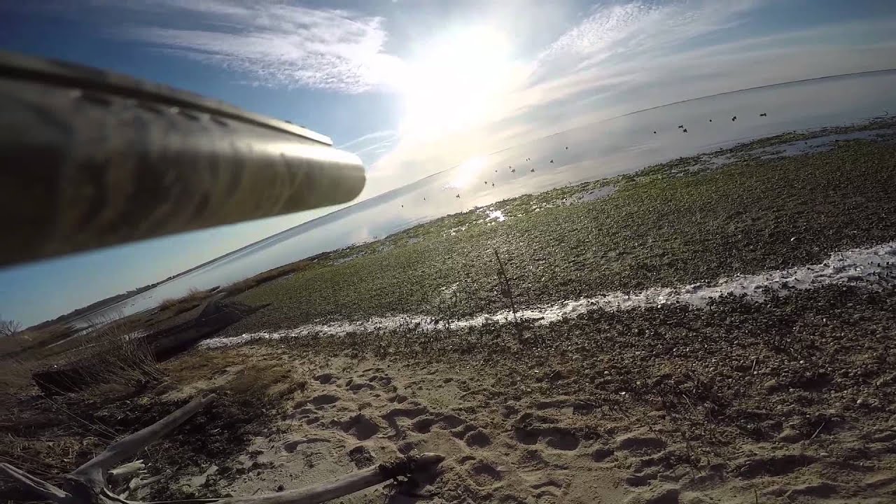 2014 Duck Hunting Long Island - YouTube