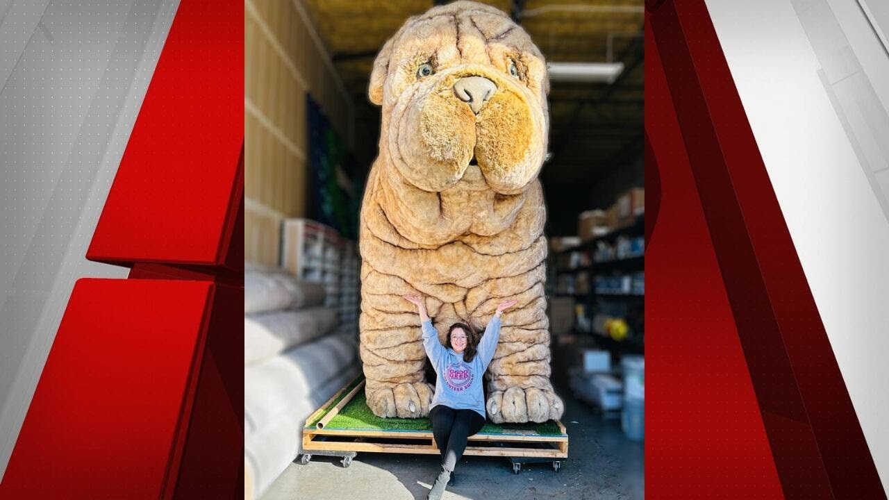 ‘I was in disbelief’: Las Vegas Nonprofit searching for 700 pound ...