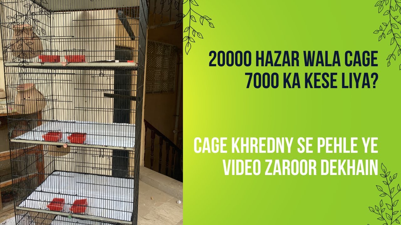 Cheap Price Bird Cages | Tips to buy cage for birds - YouTube