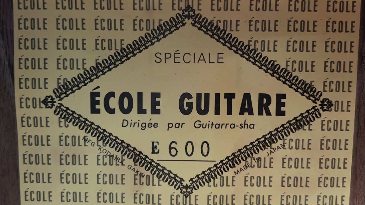 Giới thiệu ÉCole E-600 giá 11 triệu. Đàn cực đẹp, xứng đáng sưu tầm ạ - YouTube