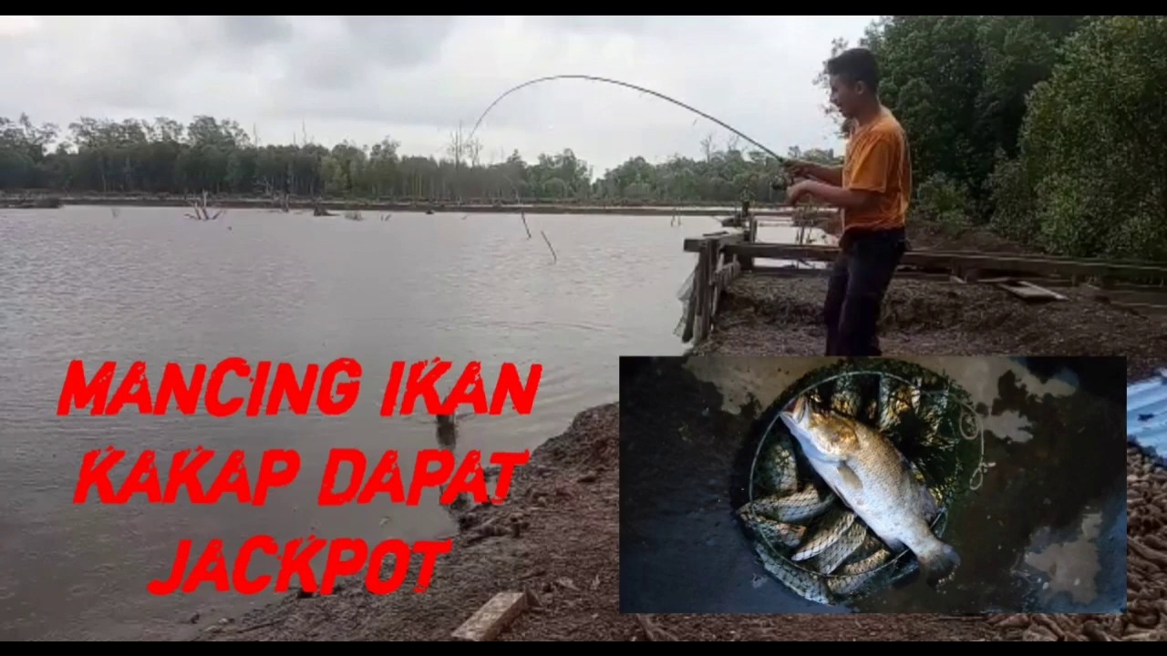 mancing ikan kakap - YouTube