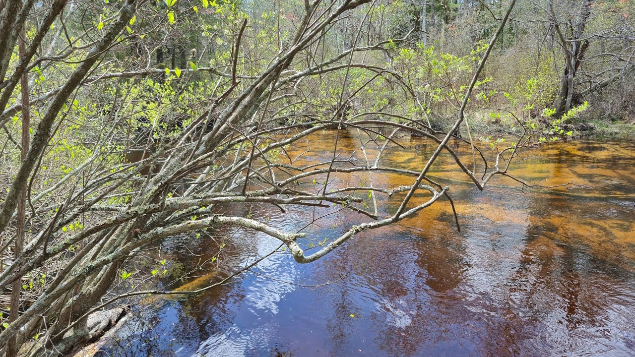 Ore Pond Canoe Access - YouTube