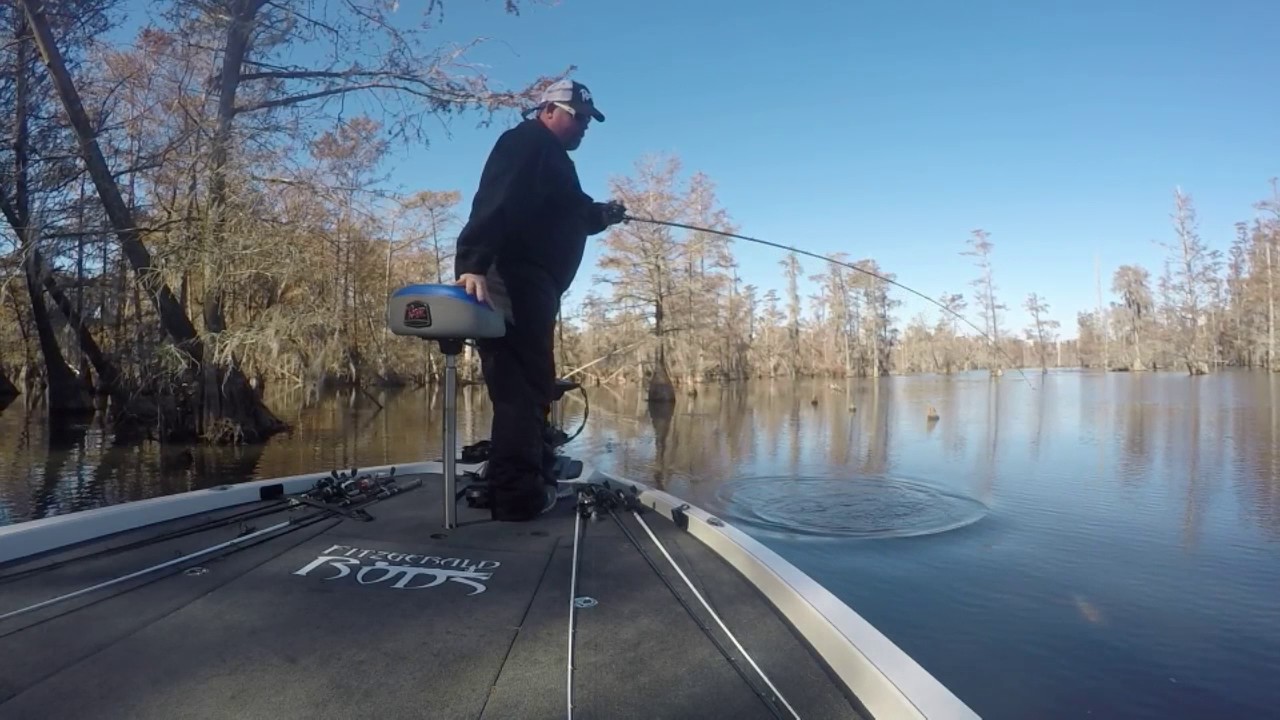 Santee Cooper Bass Fishing 11 21 16 - YouTube