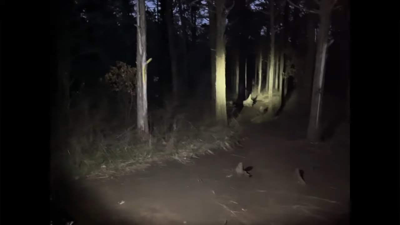 Parallel forest lawton Oklahoma - YouTube