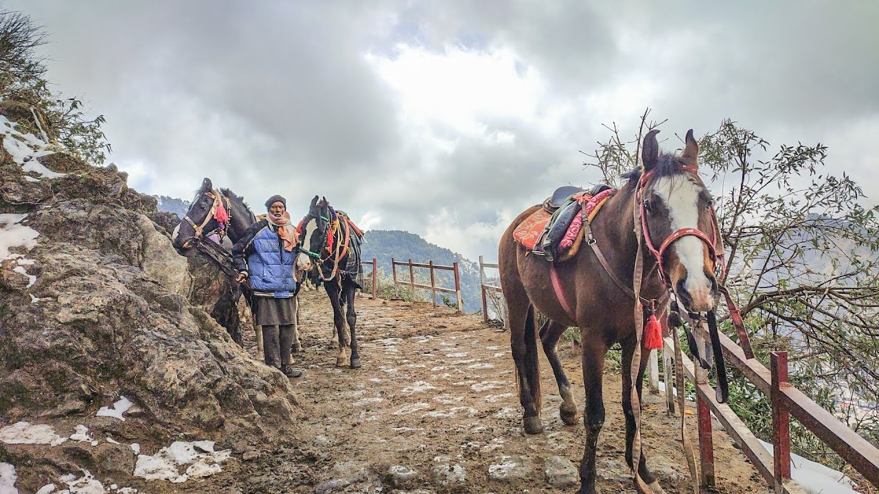 Snowfall ke baad Bara Patthar, Nainital ke Halaat | February 10, 2022 ...