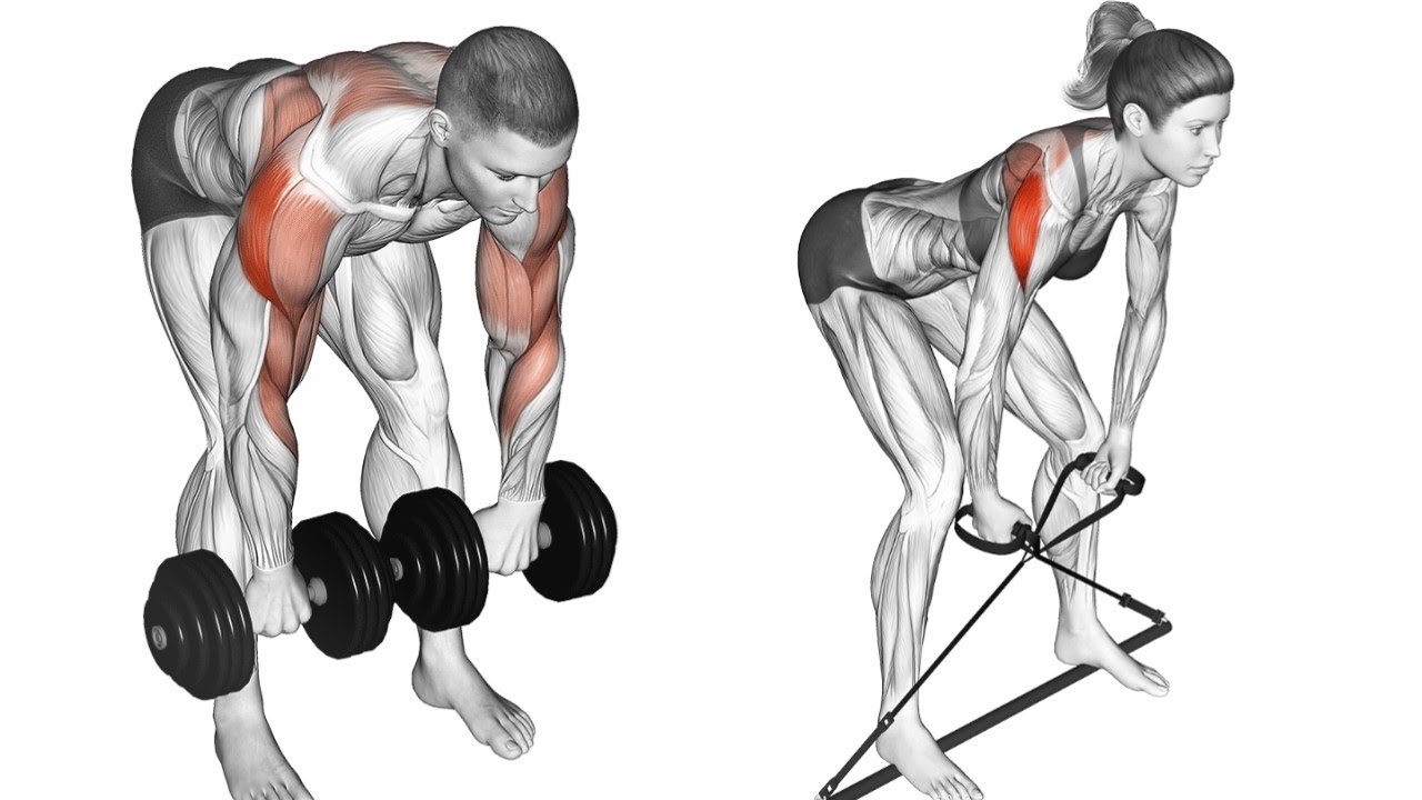 Top 20 Rear Deltoid Workouts - YouTube