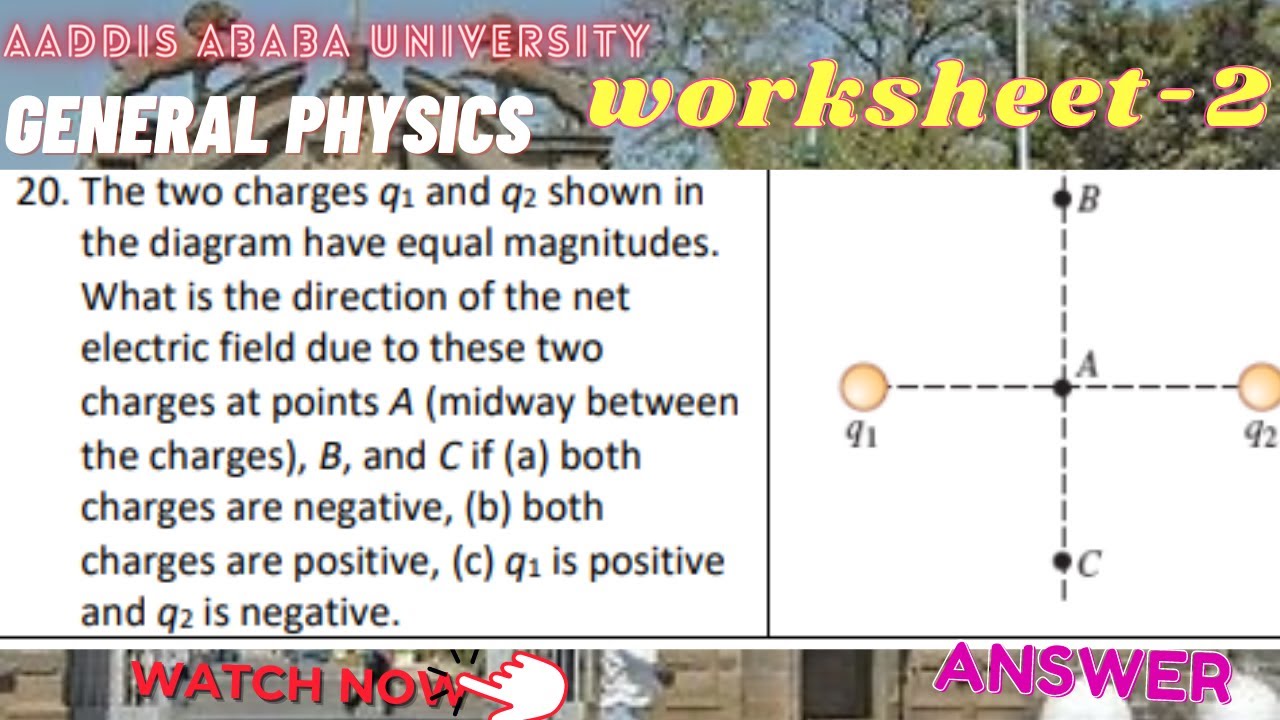 AAU | General physics worksheet 2 | solution | worked problem |Question ...